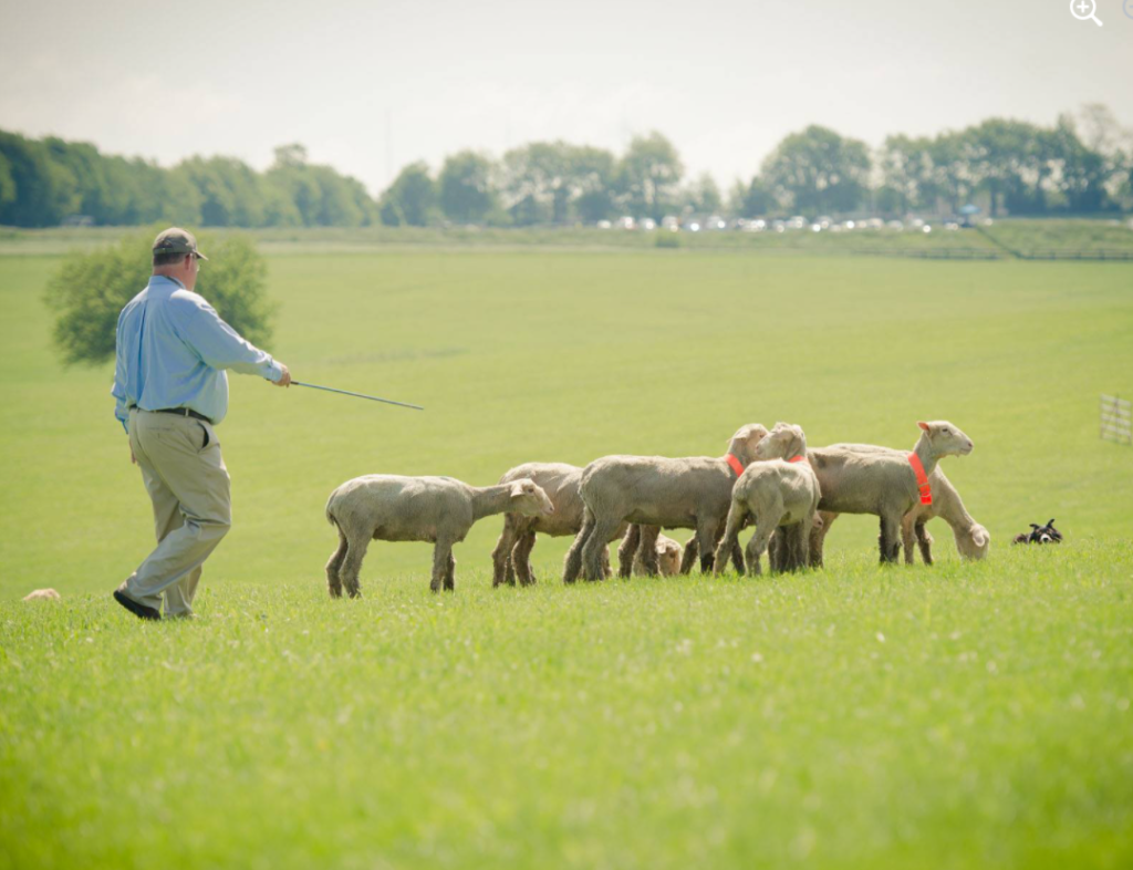 Trial Tips From Mike Neary – OSDS